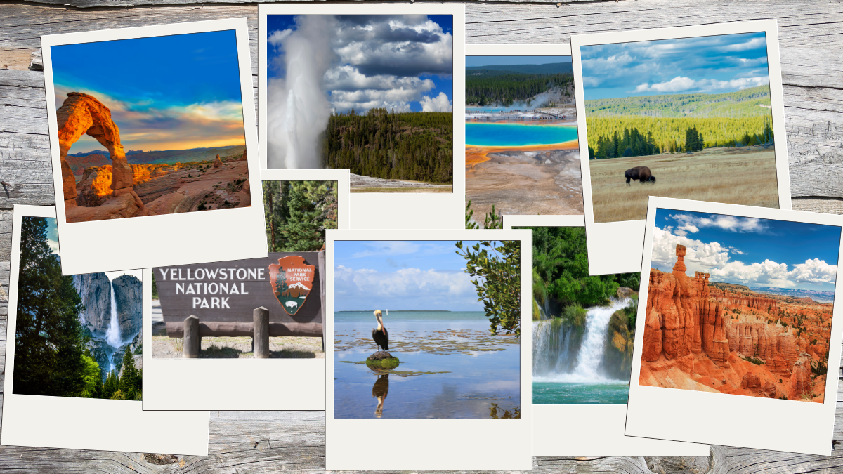 Picture Book Exploration: National Parks of the USA - A Daily Picture Book